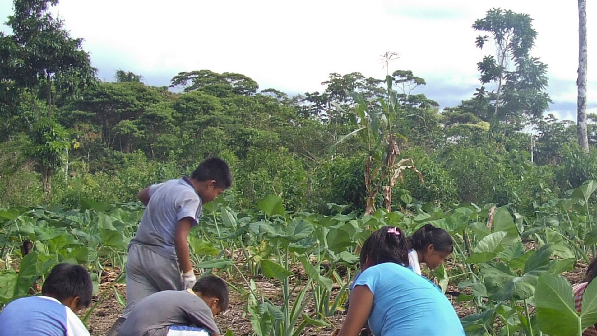 The Jivaroan People Are The Amazon’s Fiercest Guardians