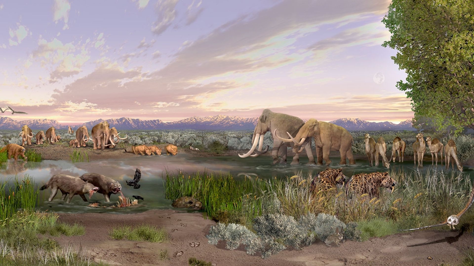 How Ancient Bones Expose The Role Of Humans In Megafauna Collapse