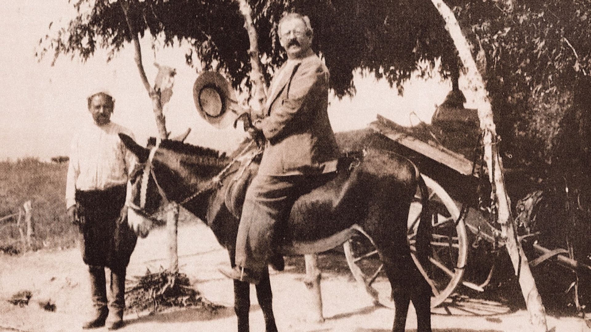 Apollo Rises Again From The Soil Of Tamassos With Clues To A Forgotten ...