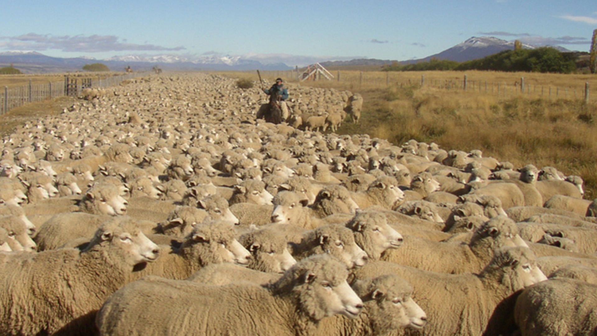 The Selk’nam’s Fight To Escape The Brink Of Extinction