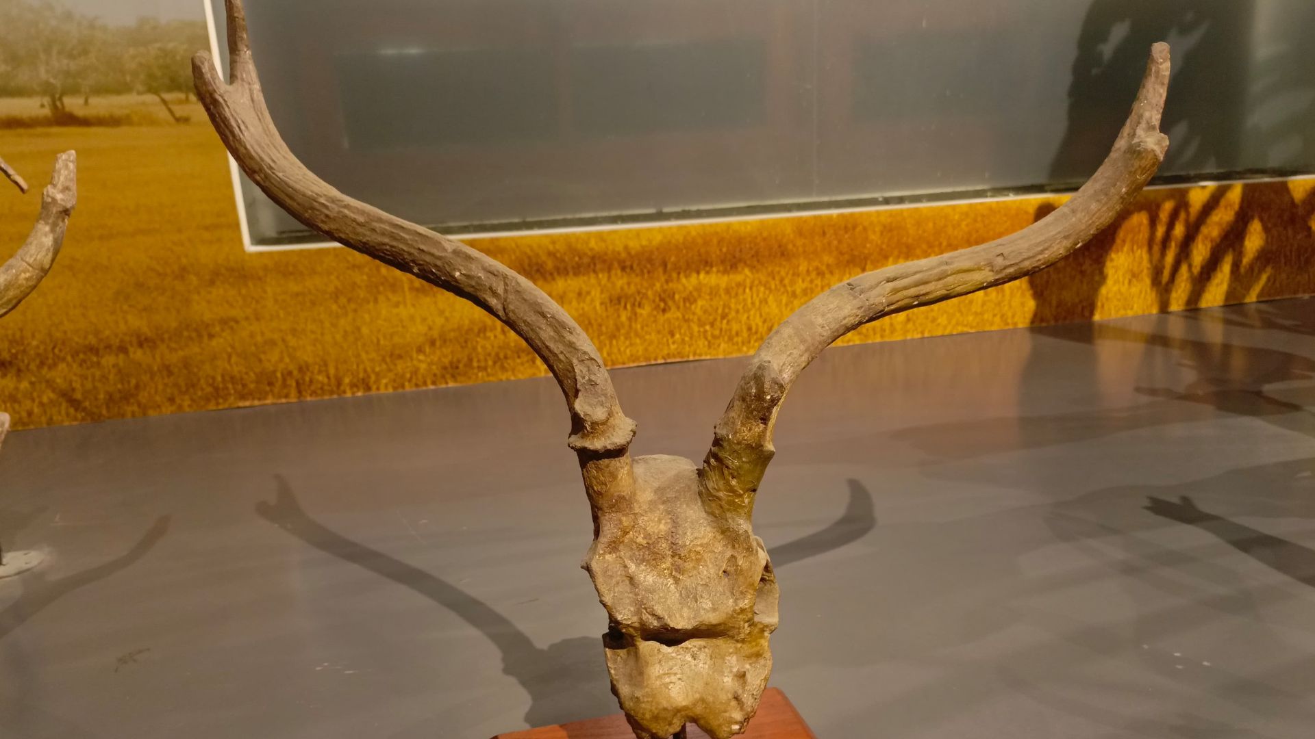 Lost Civilization Beneath The Waves Of Indonesia Reveals Ancient Secrets