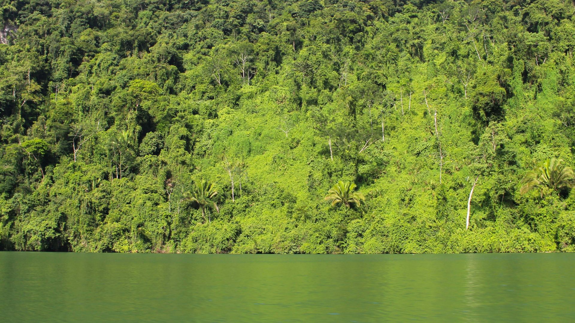 Lost Civilization Beneath The Waves Of Indonesia Reveals Ancient Secrets