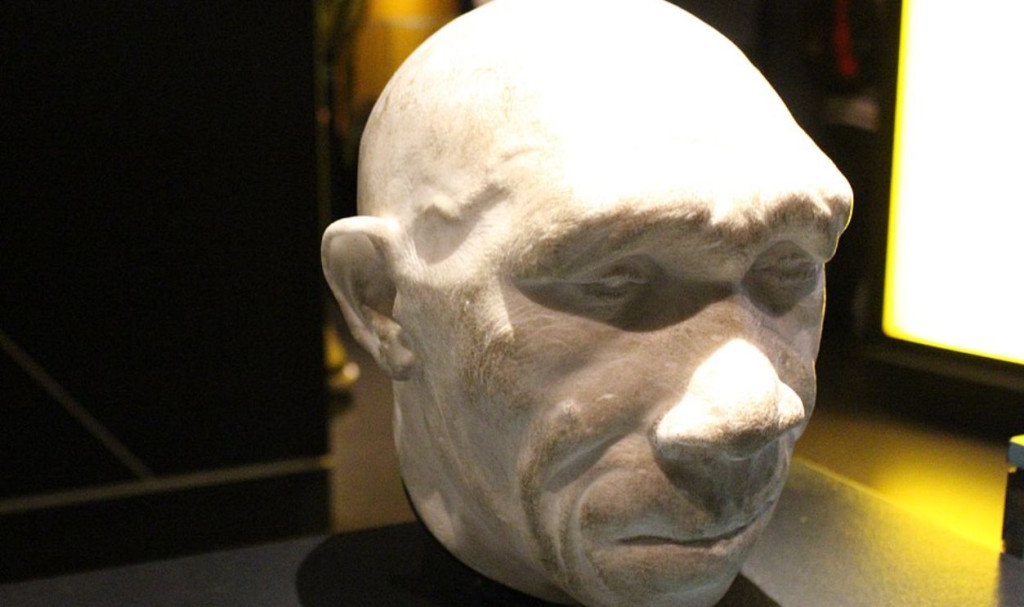 Before Homo Sapiens Showed Up, These 12 Ancient Hominins Ruled The Earth