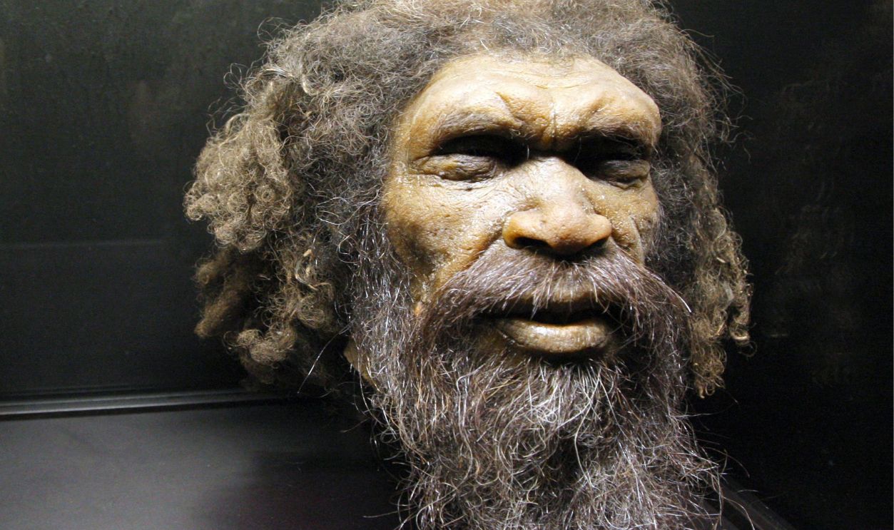 Before Homo Sapiens Showed Up, These 12 Ancient Hominins Ruled The Earth