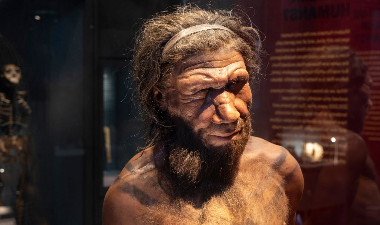 Before Homo Sapiens Showed Up, These 12 Ancient Hominins Ruled The Earth