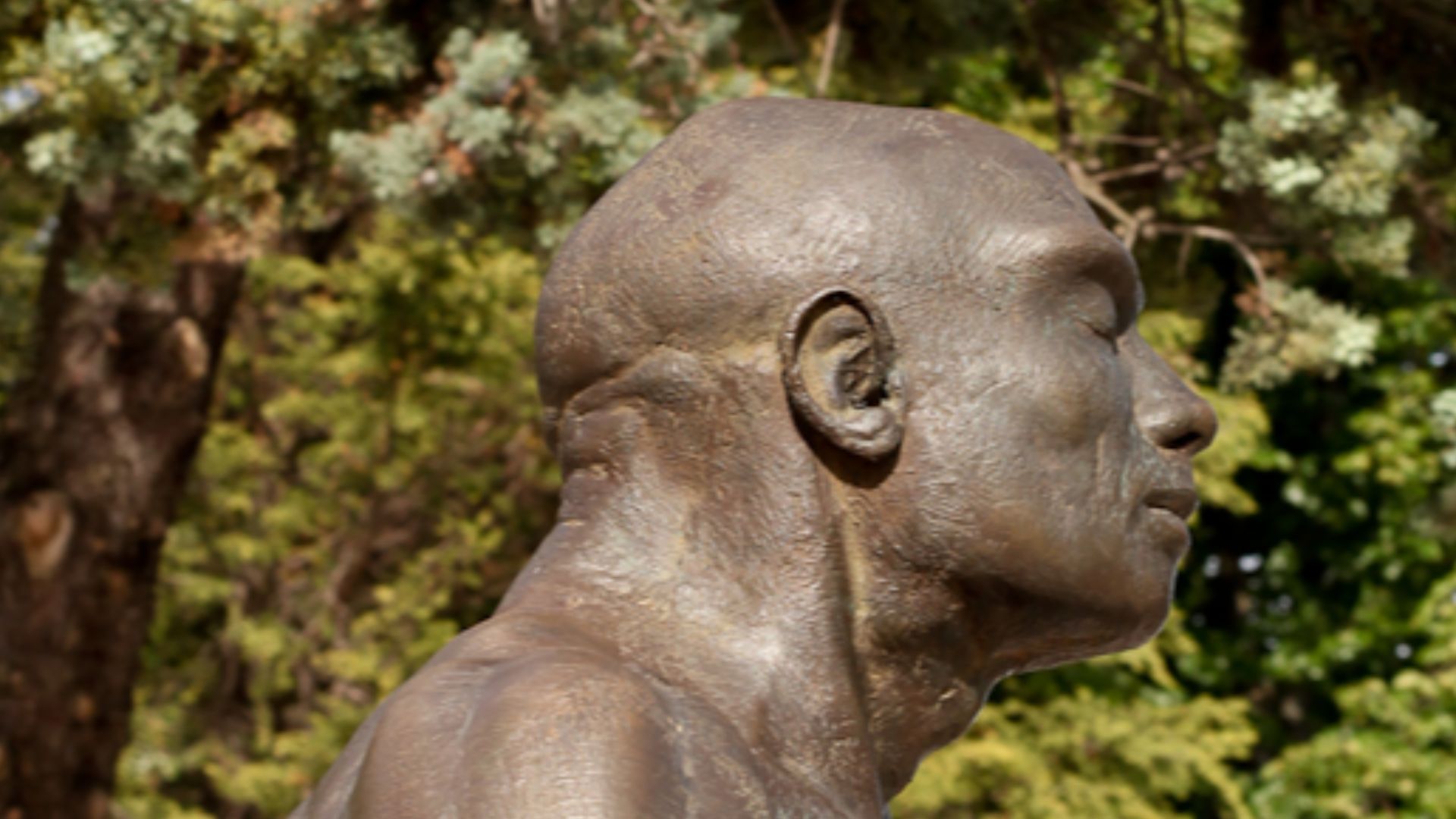 Before Homo Sapiens Showed Up, These 12 Ancient Hominins Ruled The Earth