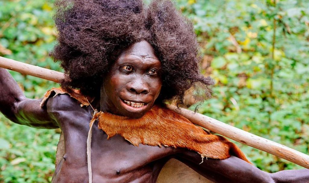 Before Homo Sapiens Showed Up, These 12 Ancient Hominins Ruled The Earth