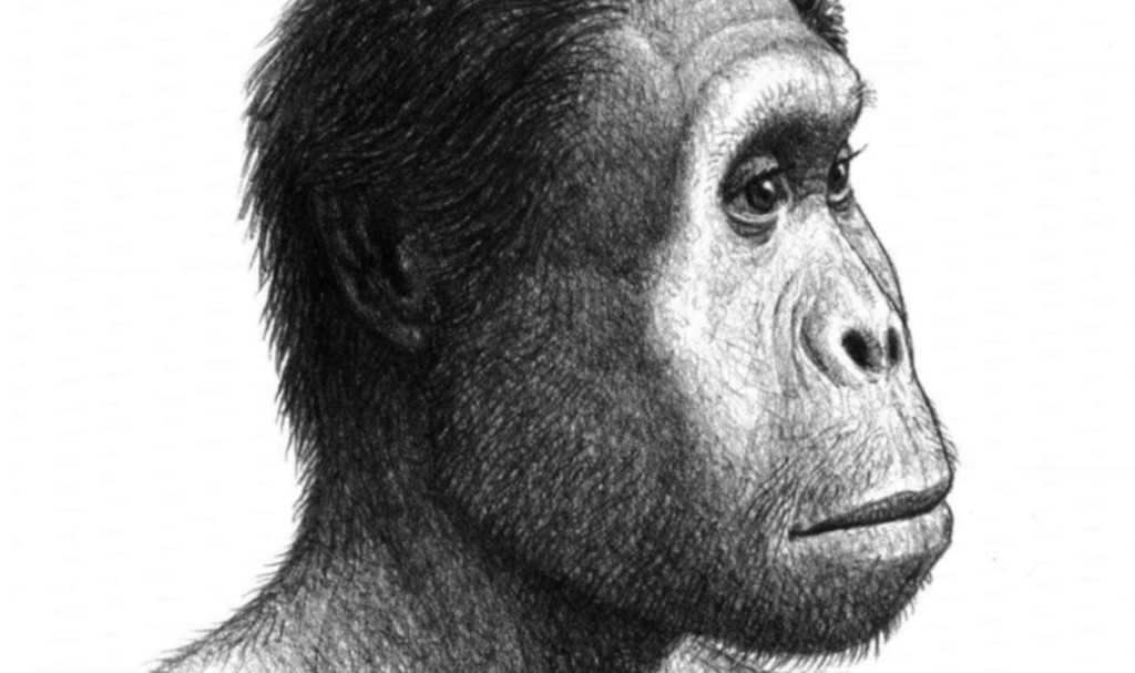 Before Homo Sapiens Showed Up, These 12 Ancient Hominins Ruled The Earth