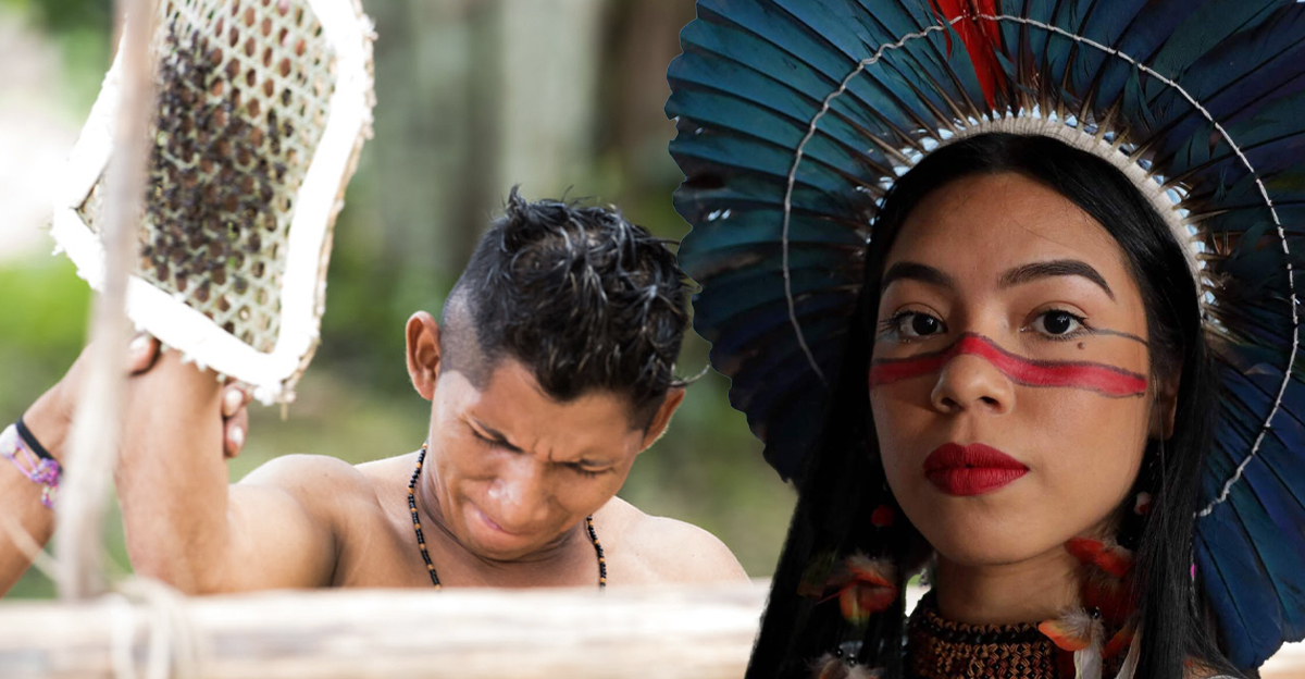 Photos Of The Mawé, The Amazonian People Who Bathe In Fire Ants As A ...