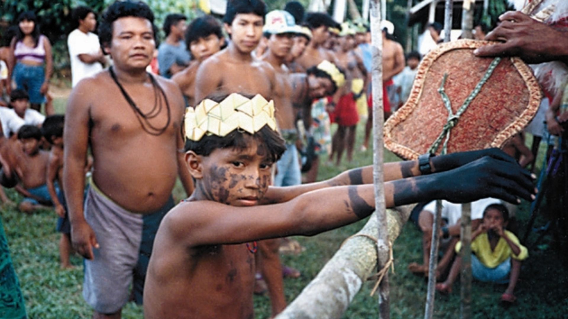 Photos Of The Mawé, The Amazonian People Who Bathe In Fire Ants As A ...