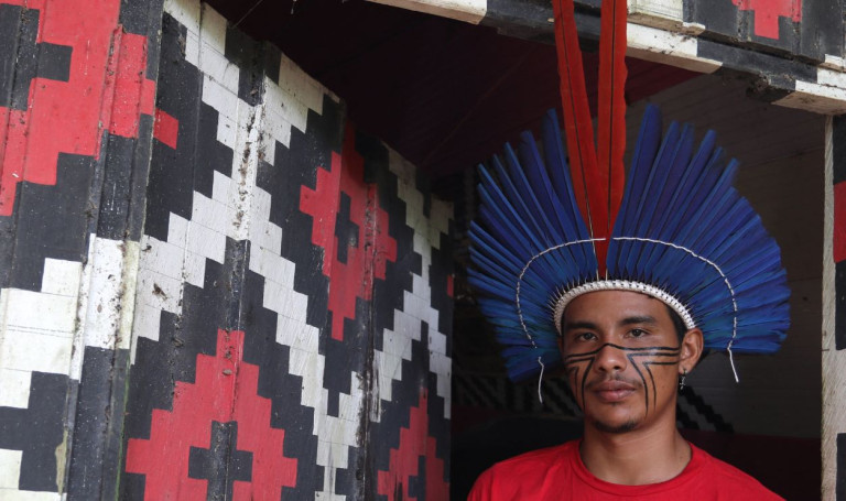 Photos Of The Mawé, The Amazonian People Who Bathe In Fire Ants As A ...