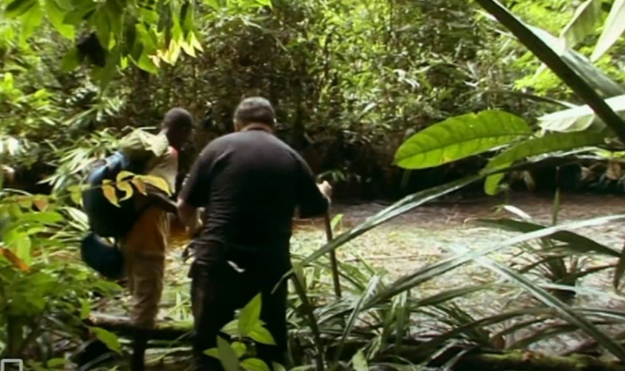 Photos Of The Hidden Treehouse Tribe That Still Practices Cannibalism