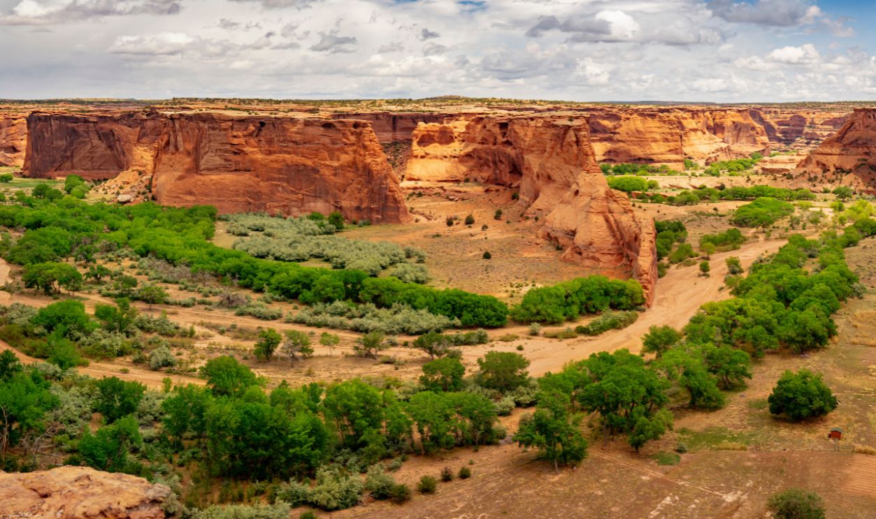 An Arizona man's runaway mule led him to an untouched, 600-year-old ...