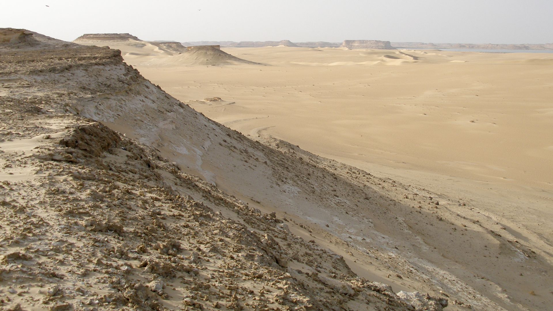 The Lost Branch Of The Nile That Helped Build The Pyramids