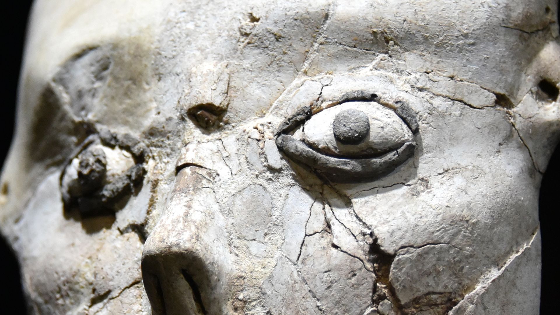Archaeologists in Jordan discovered eerie, 9,000-year-old reed and ...