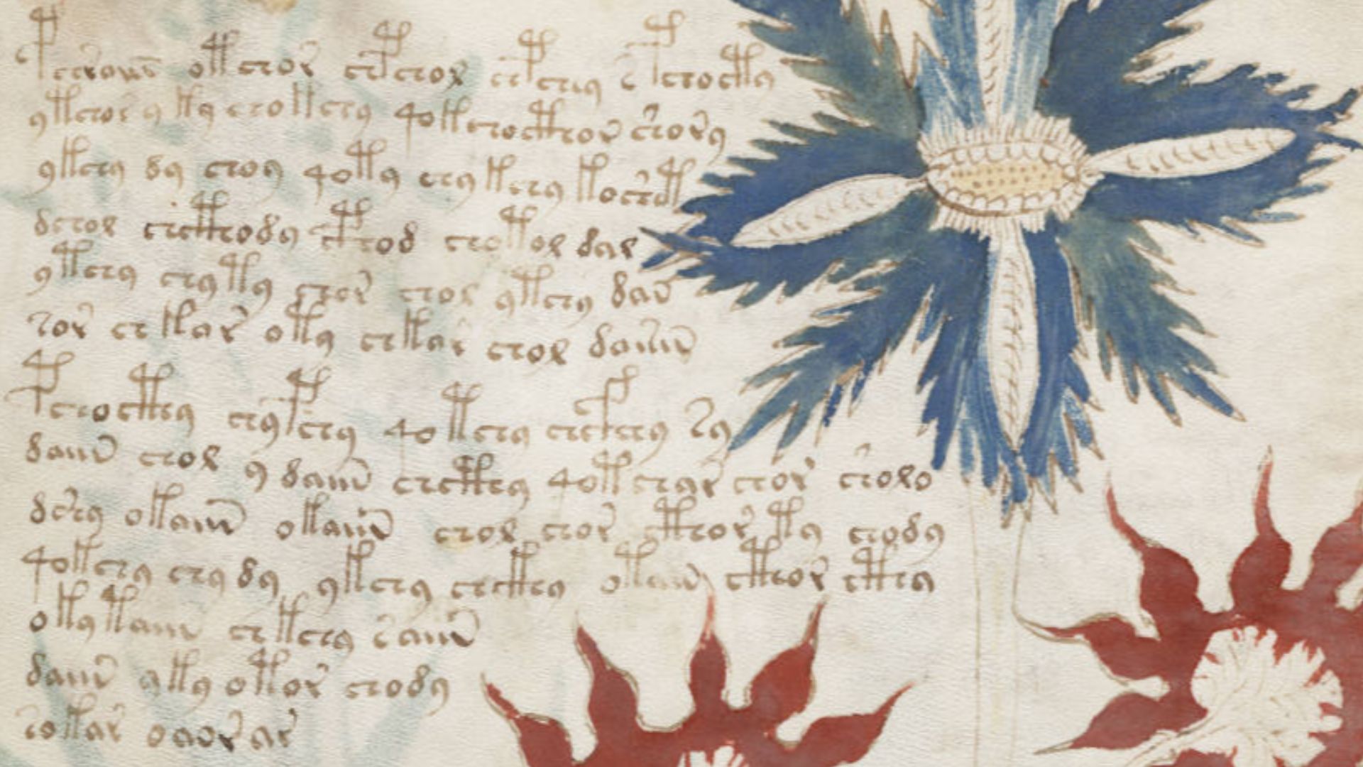 Photographs Of Actual Medieval Artifacts That Made Us Say "Whoa"