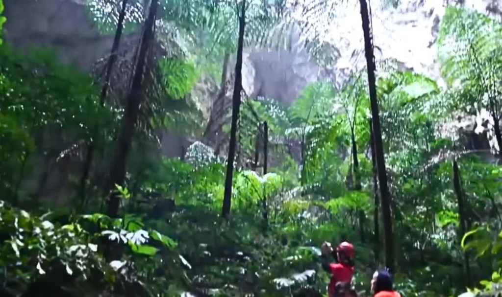 After a 630-foot sinkhole opened up in China, the first explorers to ...