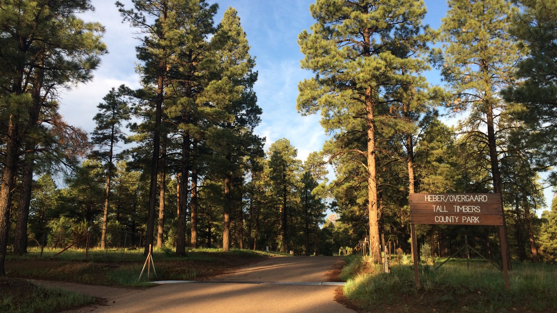 The Three Most Convincing Alien Abduction Stories Ever In The United States
