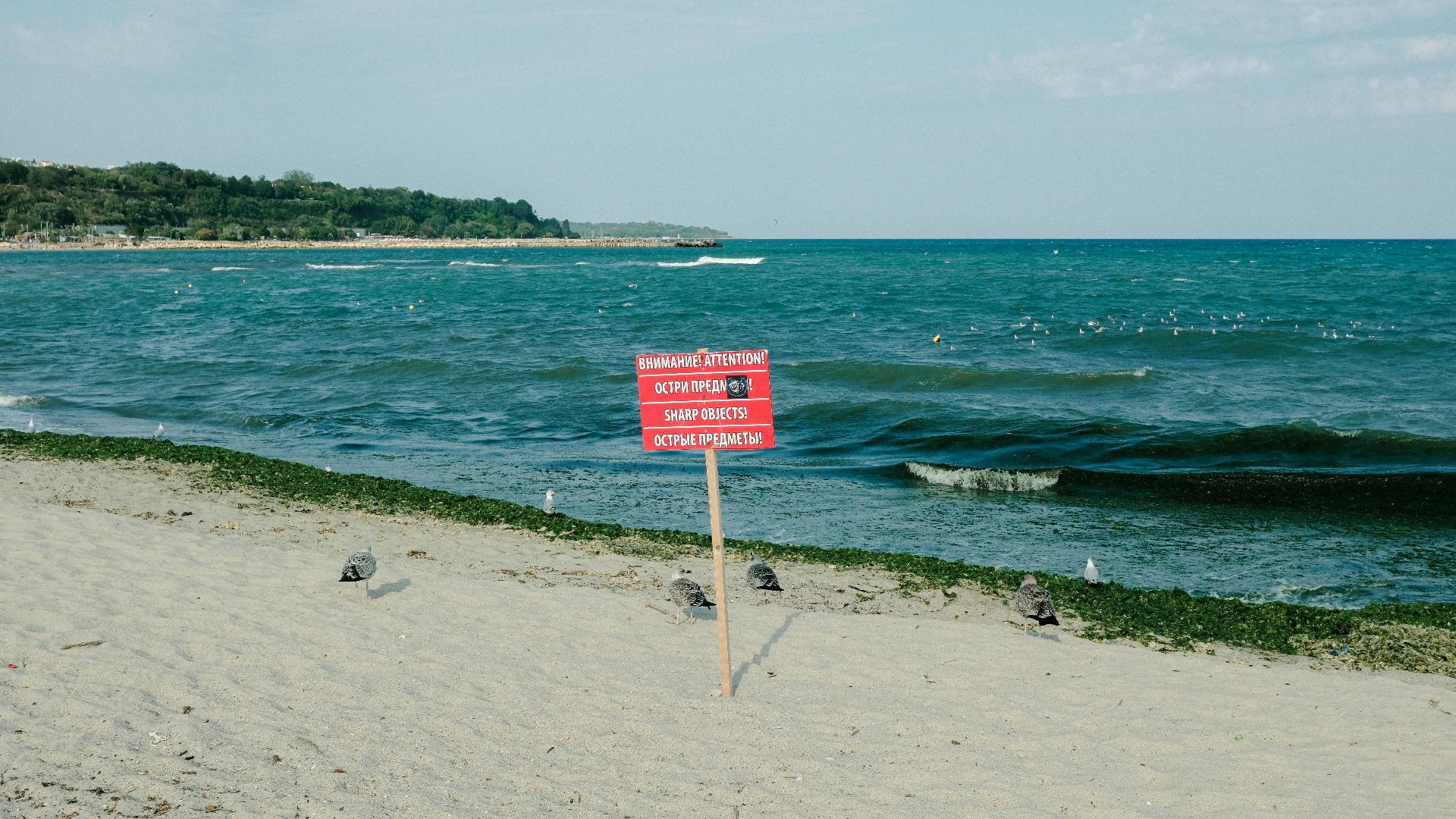 There’s A Reason The Carnival Triumph Was Renamed: A "Sewage Cruise ...