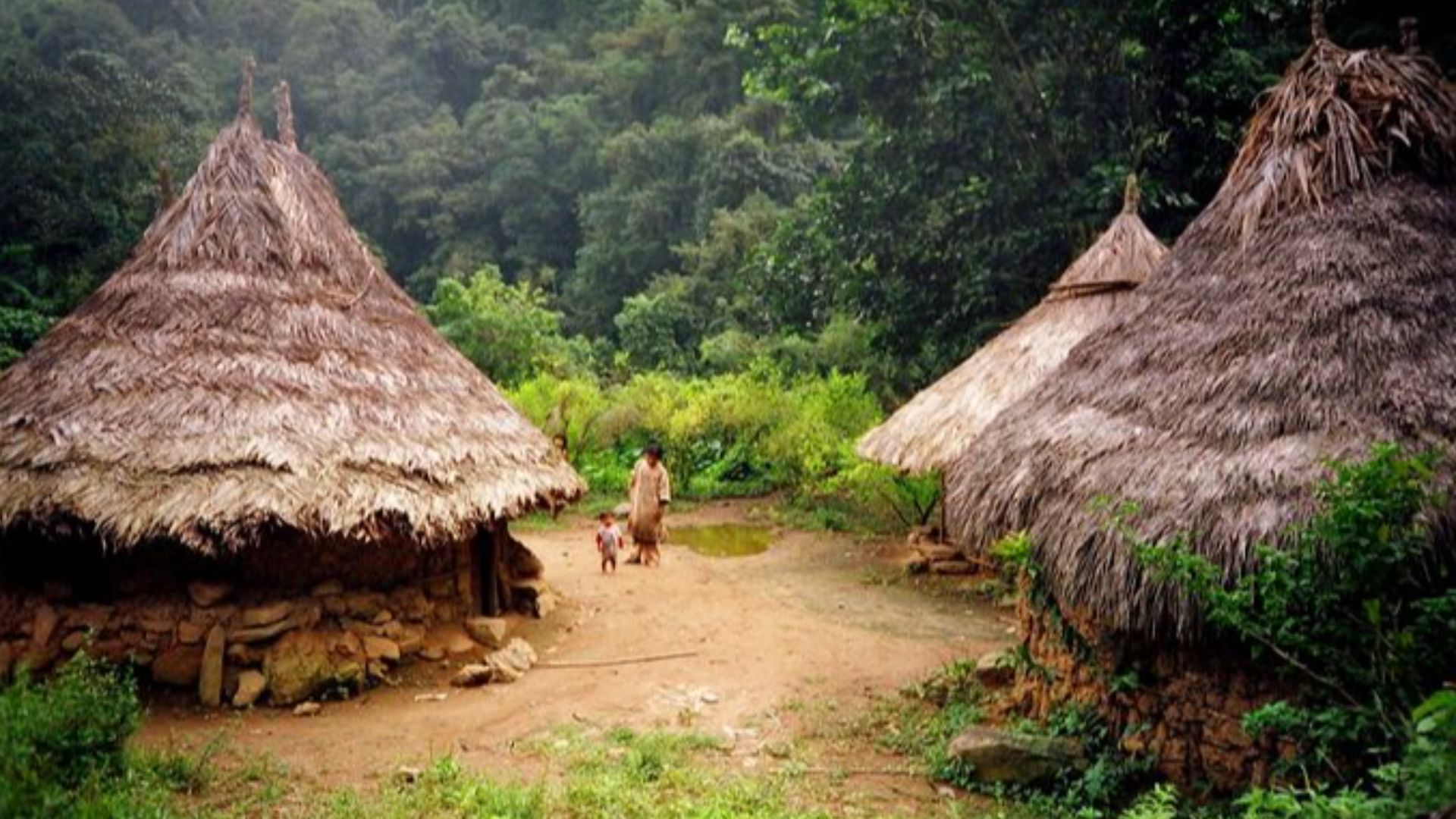 The isolated Kogi people left their mountain world for the first time ...