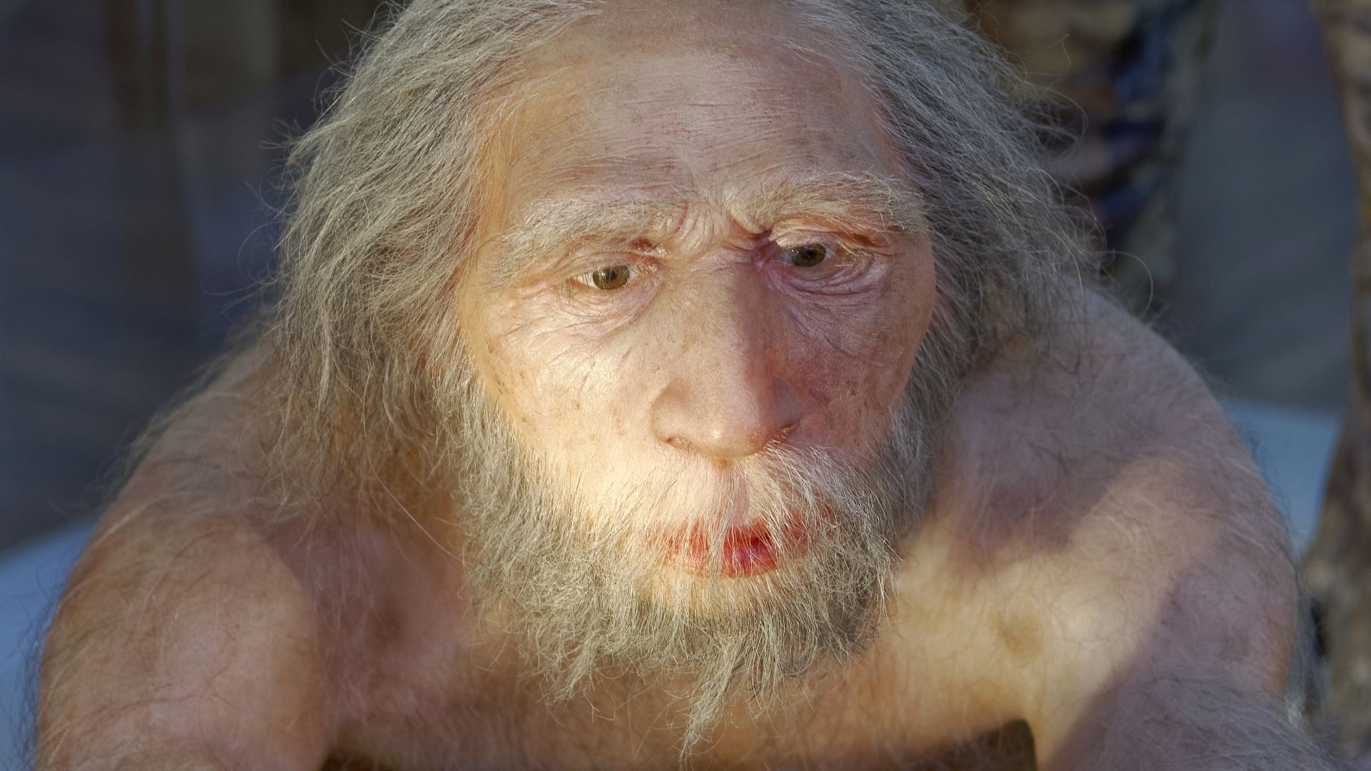 Scientists have now identified over 20 human species lived alongside ...