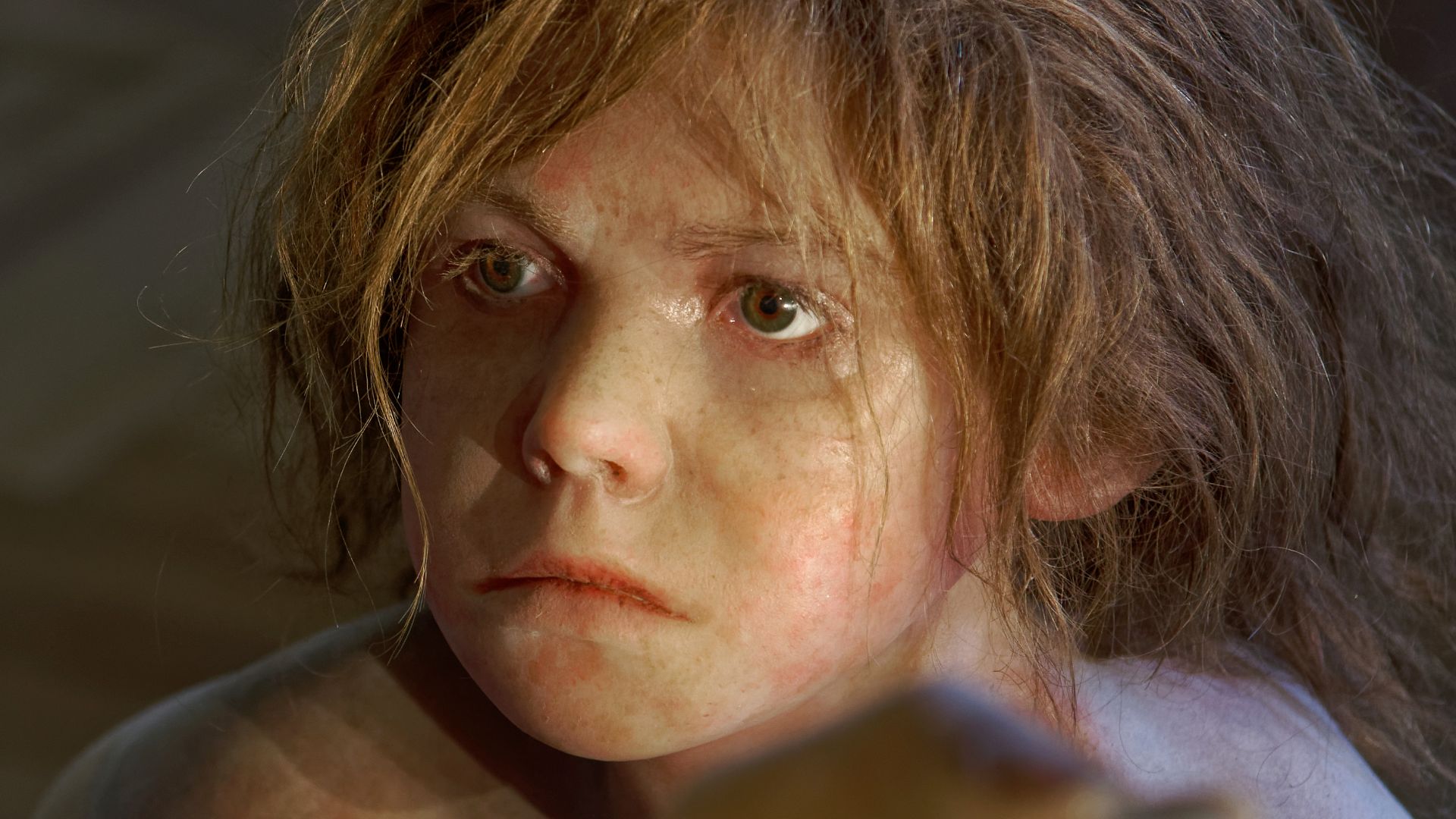 Scientists have now identified over 20 human species lived alongside ...