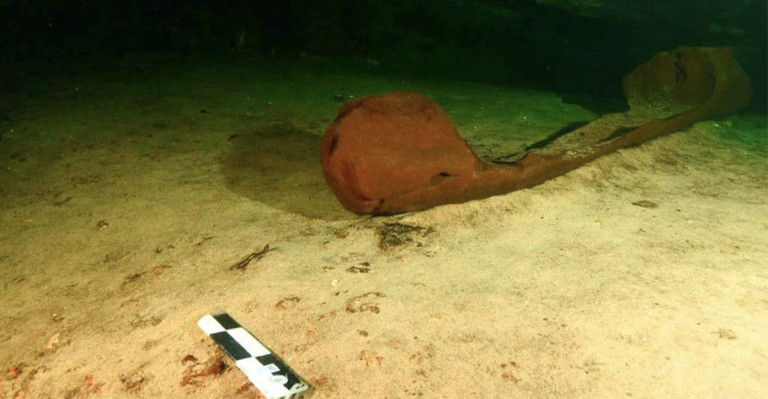 Divers in Mexico recovered an intact Maya canoe in a cenote near ...